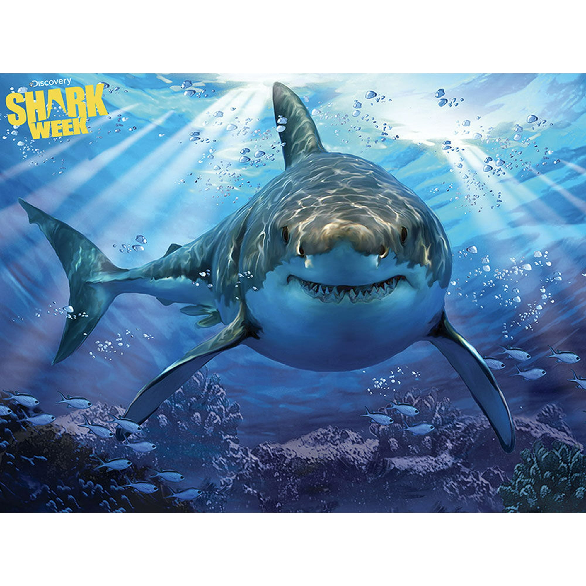 Shark Week Discovery Channel