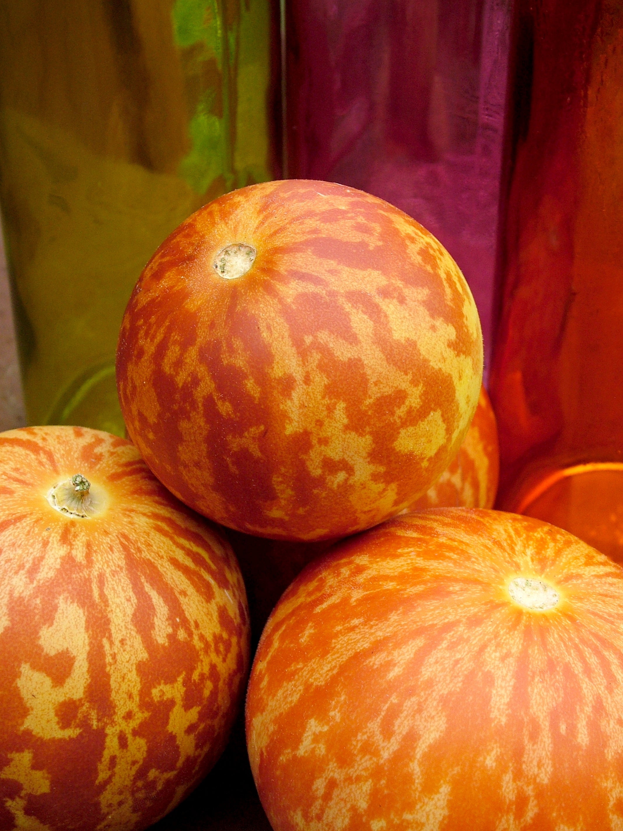 Tiger Melon