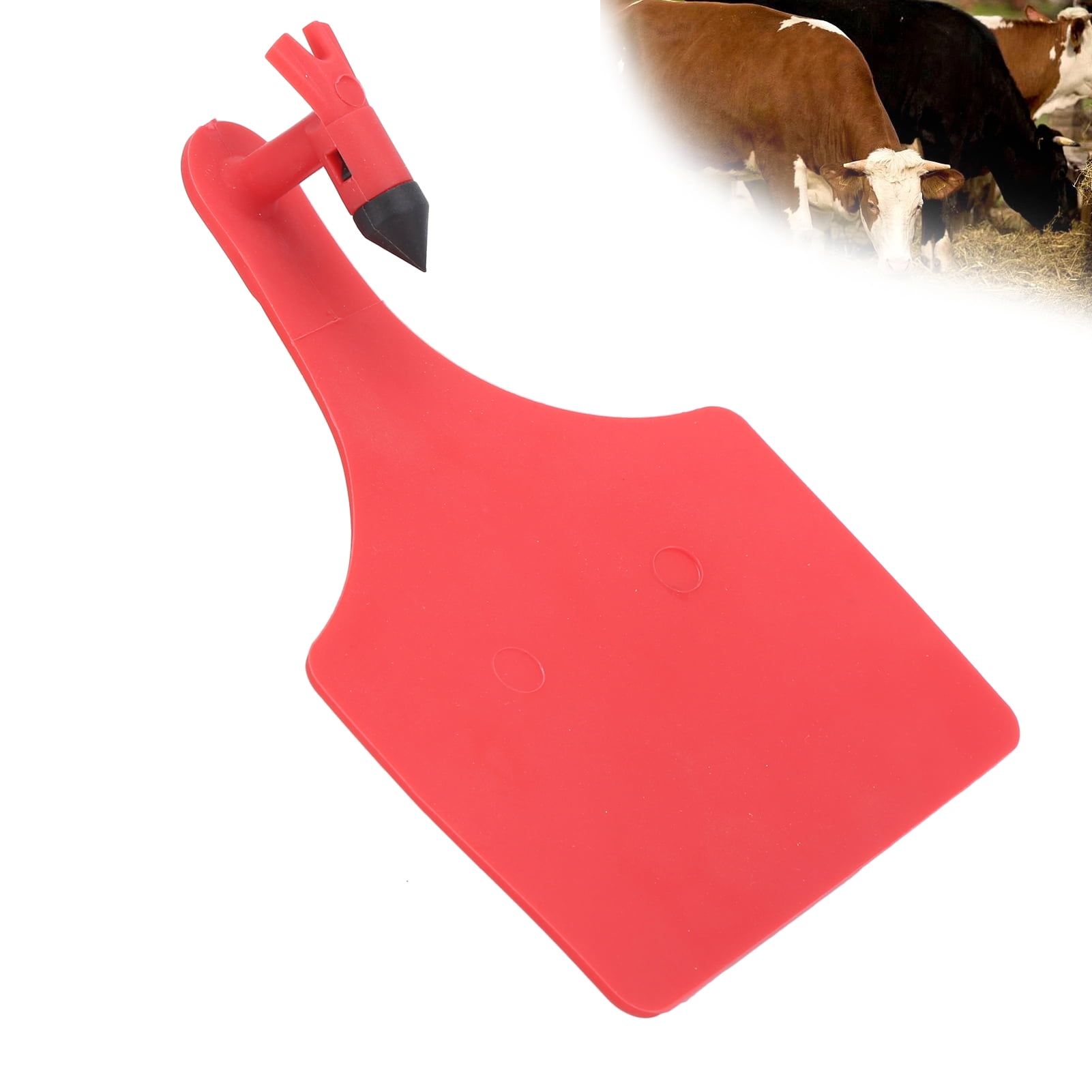Ear Tags, Livestock Plastic Ear Tags Extra Large Blank Ear Tags for ...