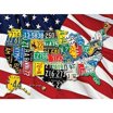 Allied Products, Americana 500 Piece Puzzle - Walmart.com