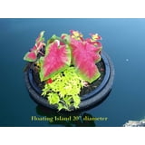 Island Planter - 12 in. - Walmart.com