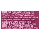 Equate Shave Cream with Aloe, Raspberry, 8 oz - Walmart.com