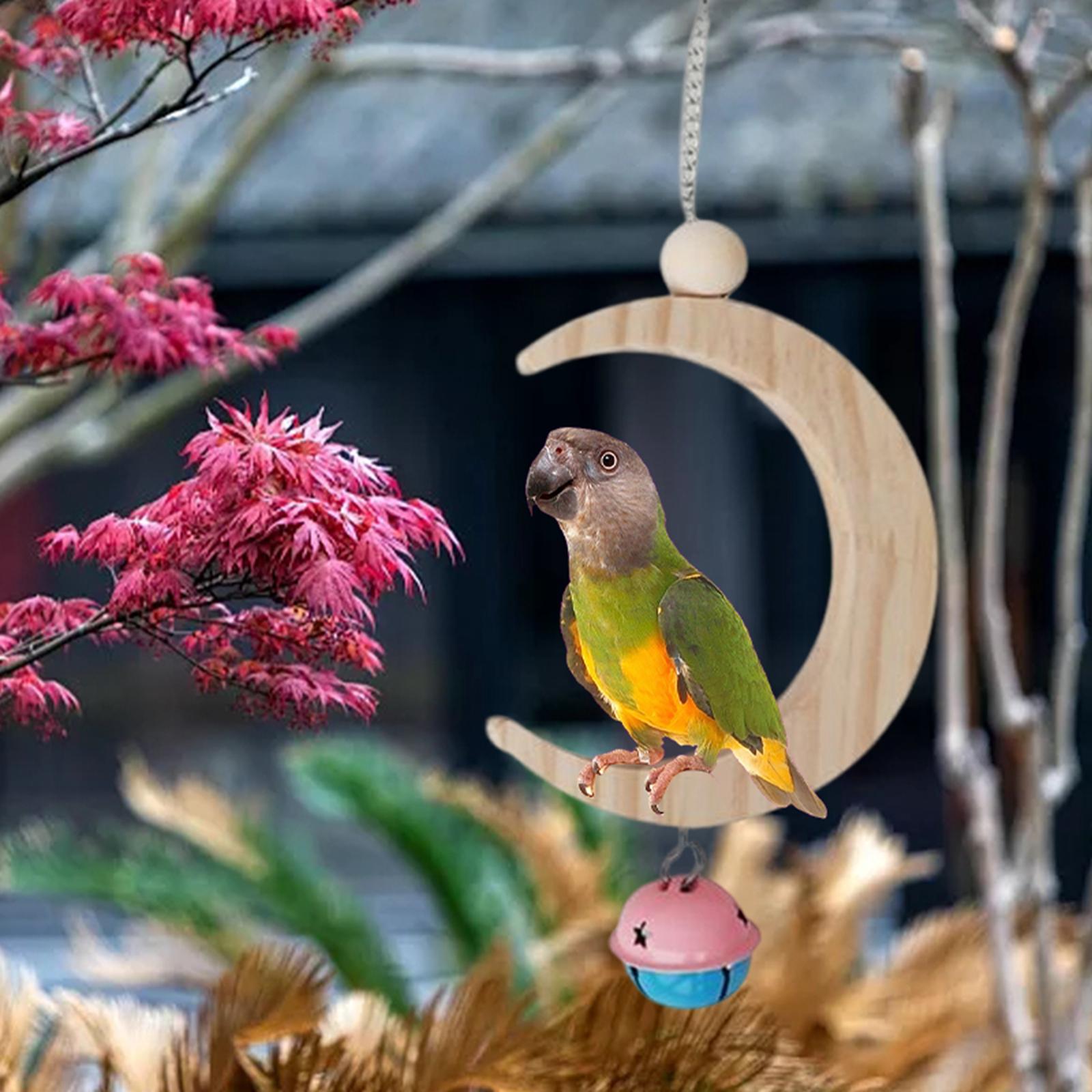 Cage Hanging Toys Birds Chewing Toy Perch Nest Swing Parrot Swings with ...