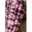 100 Seeds Colorful Ornamental INDIAN CORN WAMPUM Zea Mays Vegetable ...