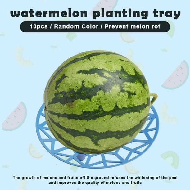 AMERTEER 10 Pcs Melon Squash Cradle Reusable Plant & Garden Support ...