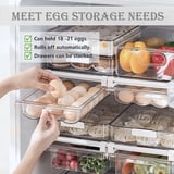 Walmart Refrigerator Organizer Bins - Egg & Fruit Holder Tray, Kitchen ...