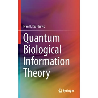 Quantum Information: An Overview, (Hardcover) - Walmart.com