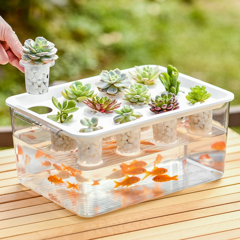 Hydroponic Plastic Tanks