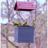 Infinity Bird Feeder - Wild Bird Feeder with 360 Degree View of Feeding ...