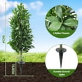 2 Pack UV Resistant Artificial Bay Laurel Trees - 3Ft Faux Laurus ...