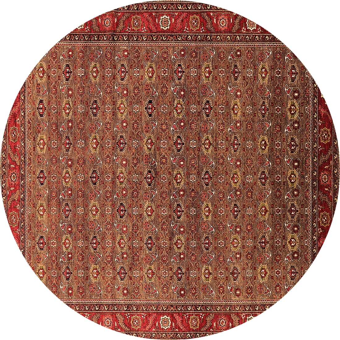 Ahgly Company Indoor Round Oriental Orange Traditional Area Rugs, 8 ...