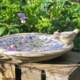 Esschert Design Stone Outdoor Aged Ceramic Birdbath with Floral ...