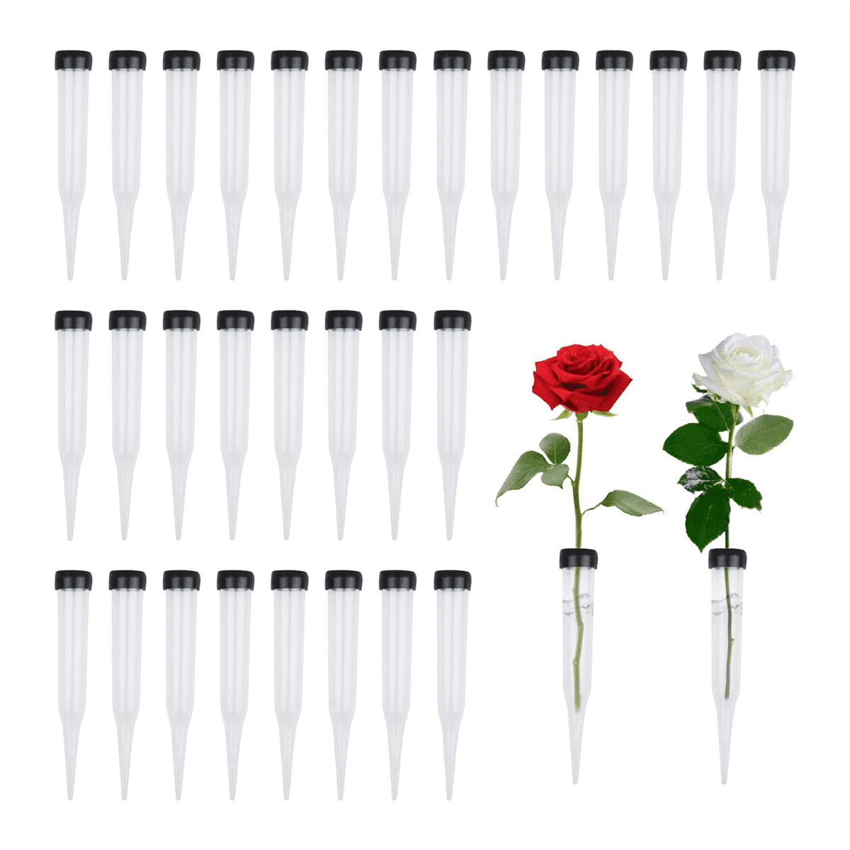 Click here for Unbranded Flower Tubes Pack Of 50 Plastic Flower T... prices