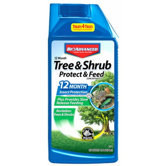 Bayer Tree And Shrub