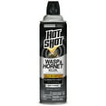 Hot Shot Outdoor Wasp & Hornet Killer, Aerosol Spray, 2/14-Ounce ...