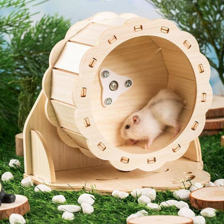 Dwarf Hamster Running On Wheel