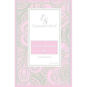 Expressive Scent 6 Pack Large Scented Sachet, Long Lasting Air ...