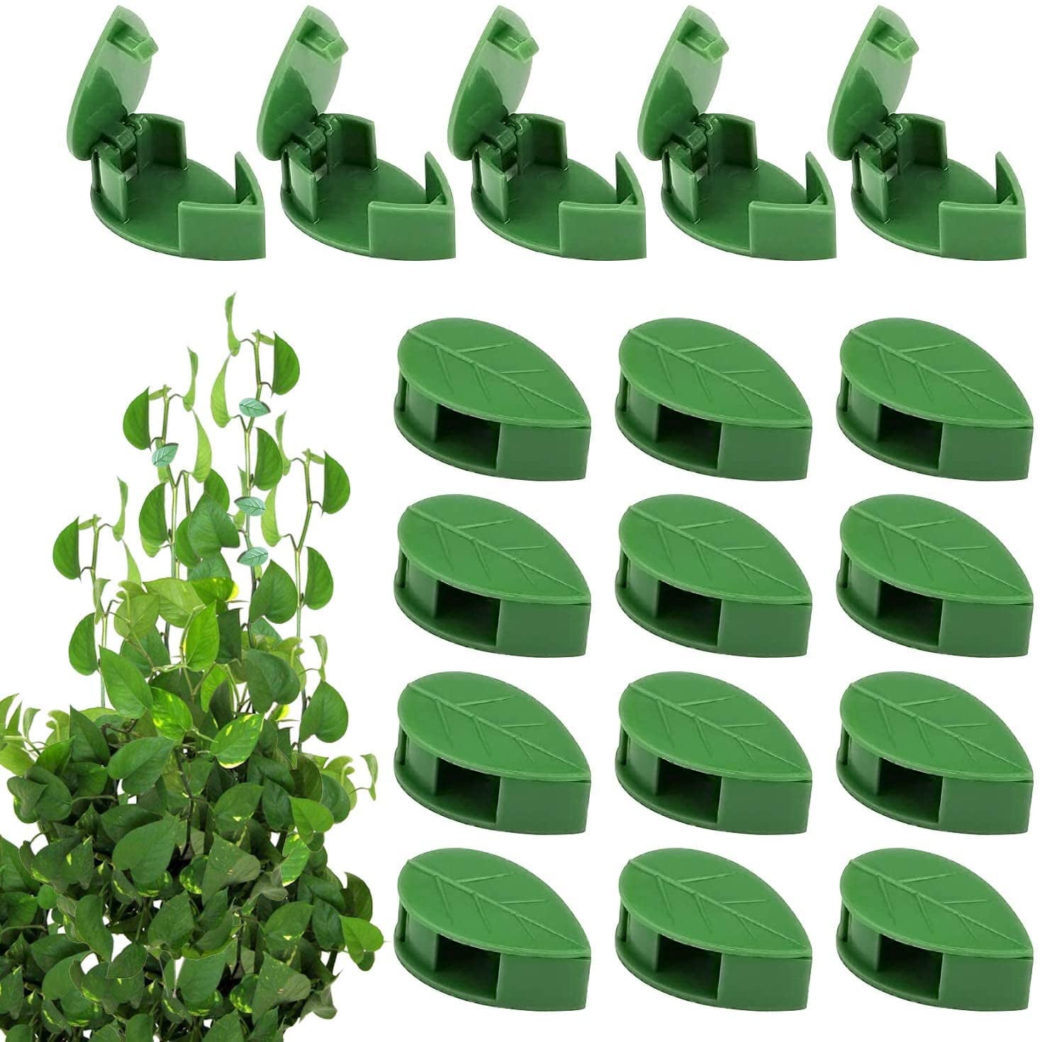 Visland Plant Climbing Wall Fixture Clips 30PCS,Self-Adhesive Hook ...