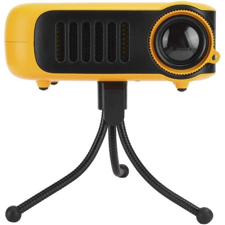 Portable Mini Projector with 2-inch LCD Screen, 320 x 240 Resolution ...