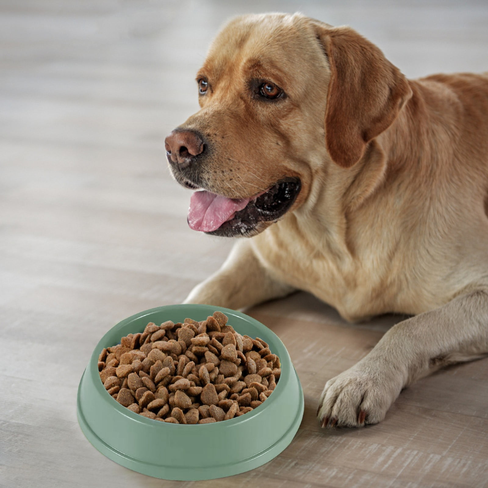 Click here for Chenjiaaa Dog Feeder Slow Eating Pet Bowl Durable... prices