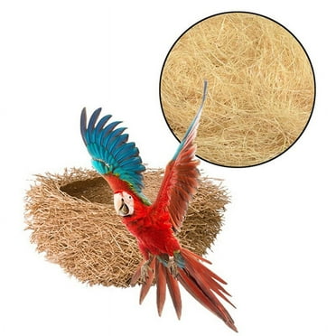 Songbird Essentials Bird House Bird Nesting Material Holder, Hummer ...