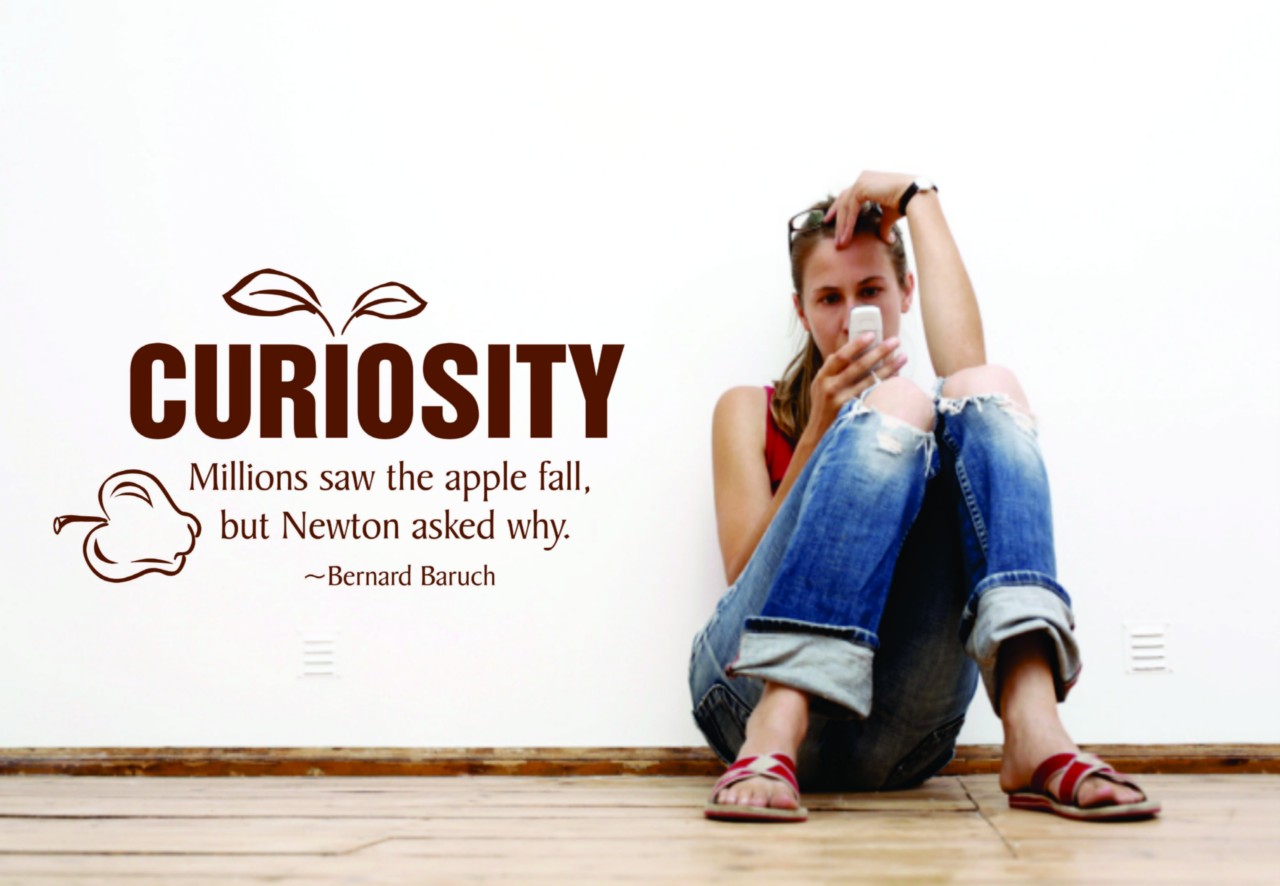 Wall Decal Curiosity Inspirational Motivation Inspiration Stimulus ...