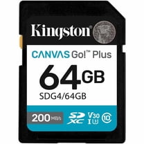 Kingston Canvas Go! Plus 256 GB Class 10/UHS-I (U3) V30 microSDXC ...