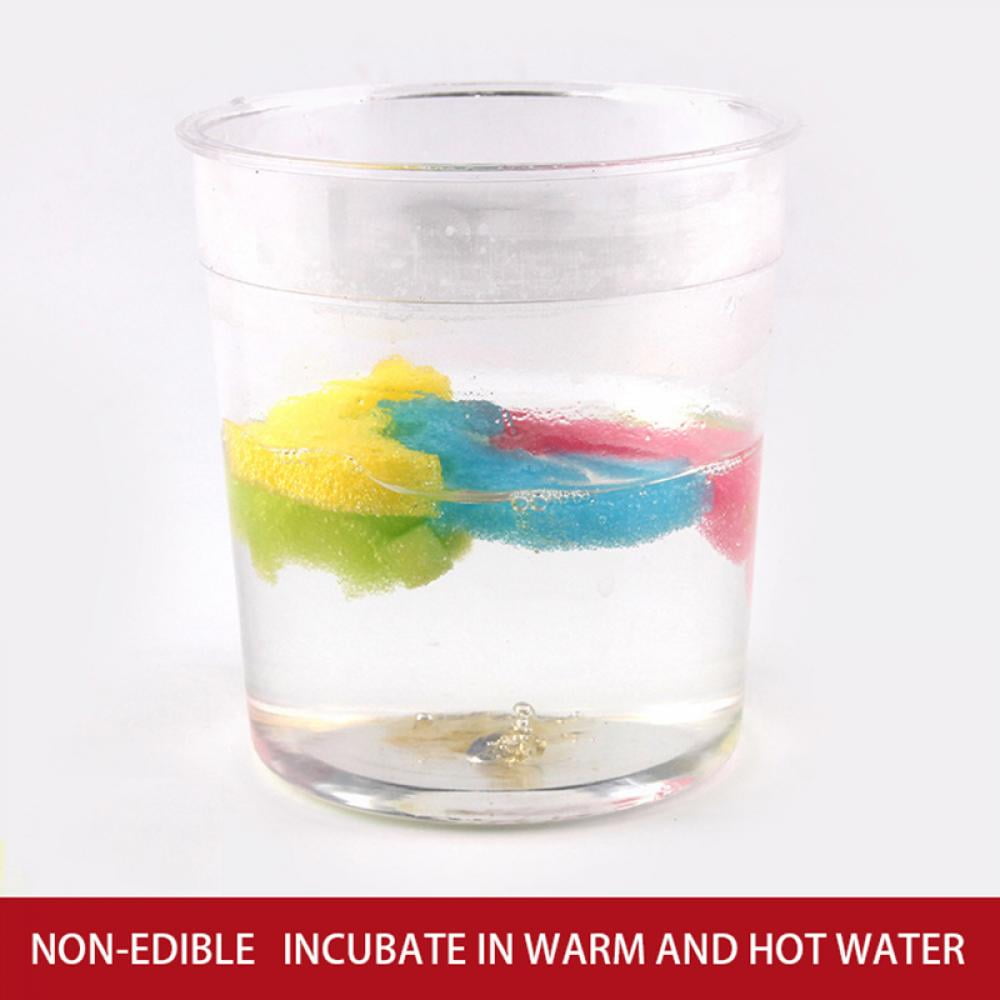 Buy 12pcs Magic Grow Capsules Best Growing Animals Dinosaurs Capsules ...