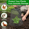 Chicken Wire Cloche Plant Covers - Garden Plant Cloche Metal Heavy Duty ...