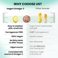 Dr. Moritz Vegan Omega 3 DHA & EPA Supplement 1000mg Algae Omega-3 for ...
