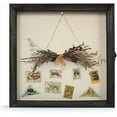 Flowers Shadow Box Display Case Large Shadow Box Frame with Glass ...
