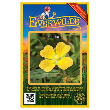 Everwilde Farms - 200 Wild Quinine Native Wildflower Seeds - Gold Vault ...