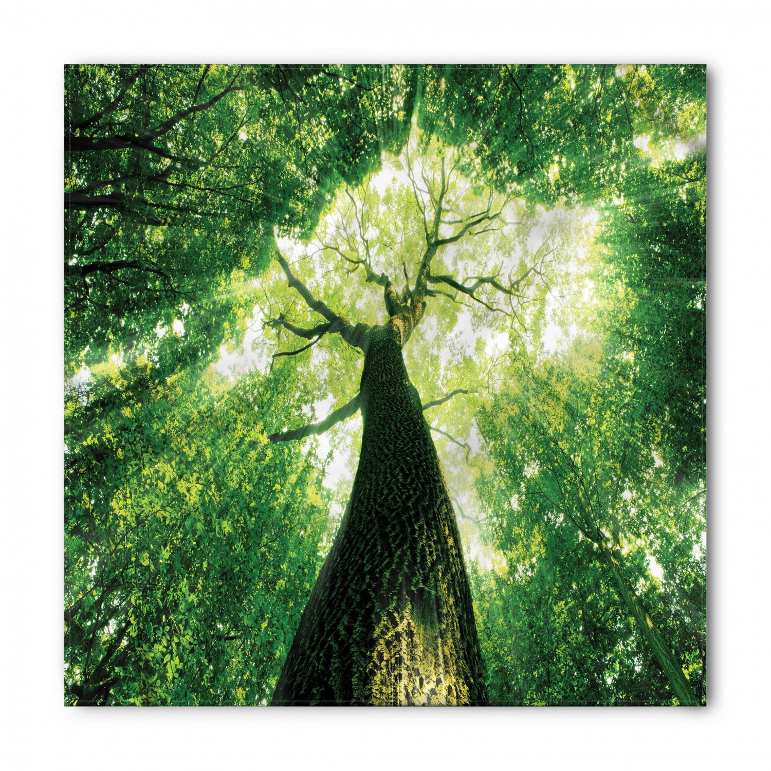 Nature Bandana, Summer Rays in Wild, Unisex Head and Neck Tie, by ...