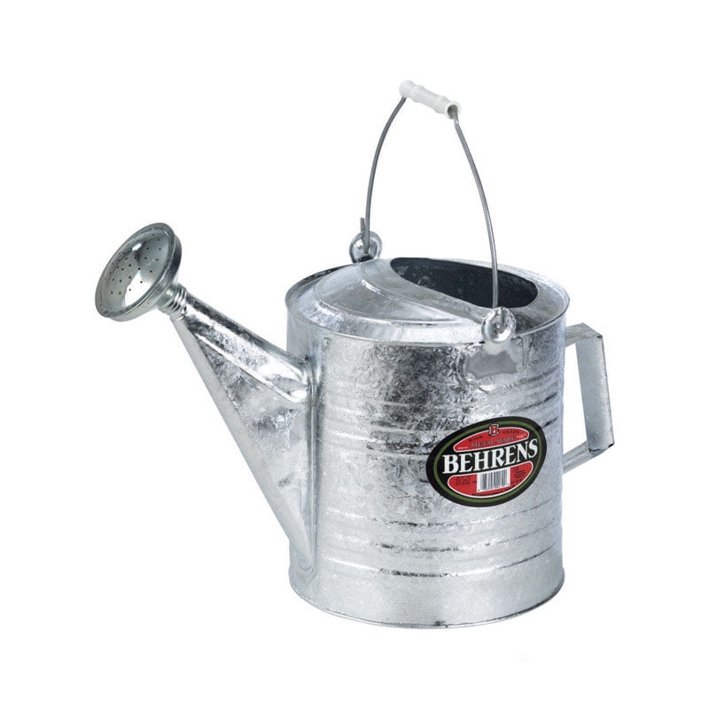 Old-Fashioned Nostalgic Galvanized Heavy Gauge Steel Watering Can 10 ...