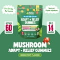 Drops of Nature Mushroom Gummies with Ashwagandha, Turmeric & Vitamin C ...