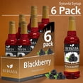 Syruvia Blackberry Syrup for Drinks 1 Case (6 Bottles, 25.4 fl oz Each ...