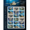 USPS Protect Sea Turtles Postage Stamps, 1 Book of 18, Endangered ...