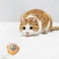 Wall Catnip Balls Toy, Rotating Snack Balls, Natural Catnip Balls With ... Wall Catnip Balls Toy, Rotating Snack Balls, Natural Catnip Balls With ...