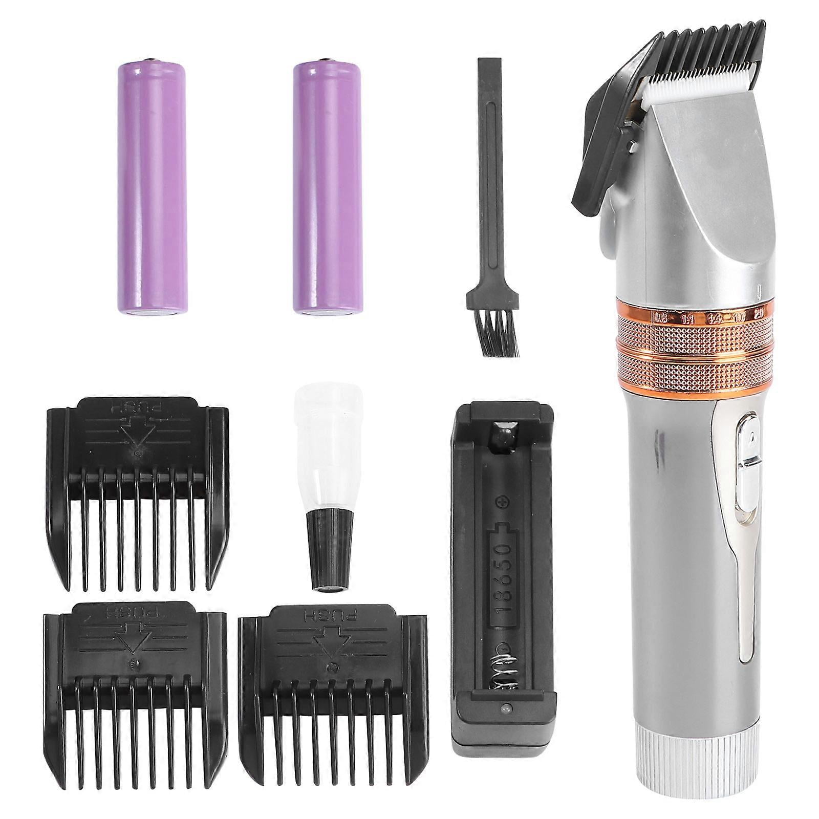 Double Lithium Battery Hair Clipper 1Set For Hair Salon With ...