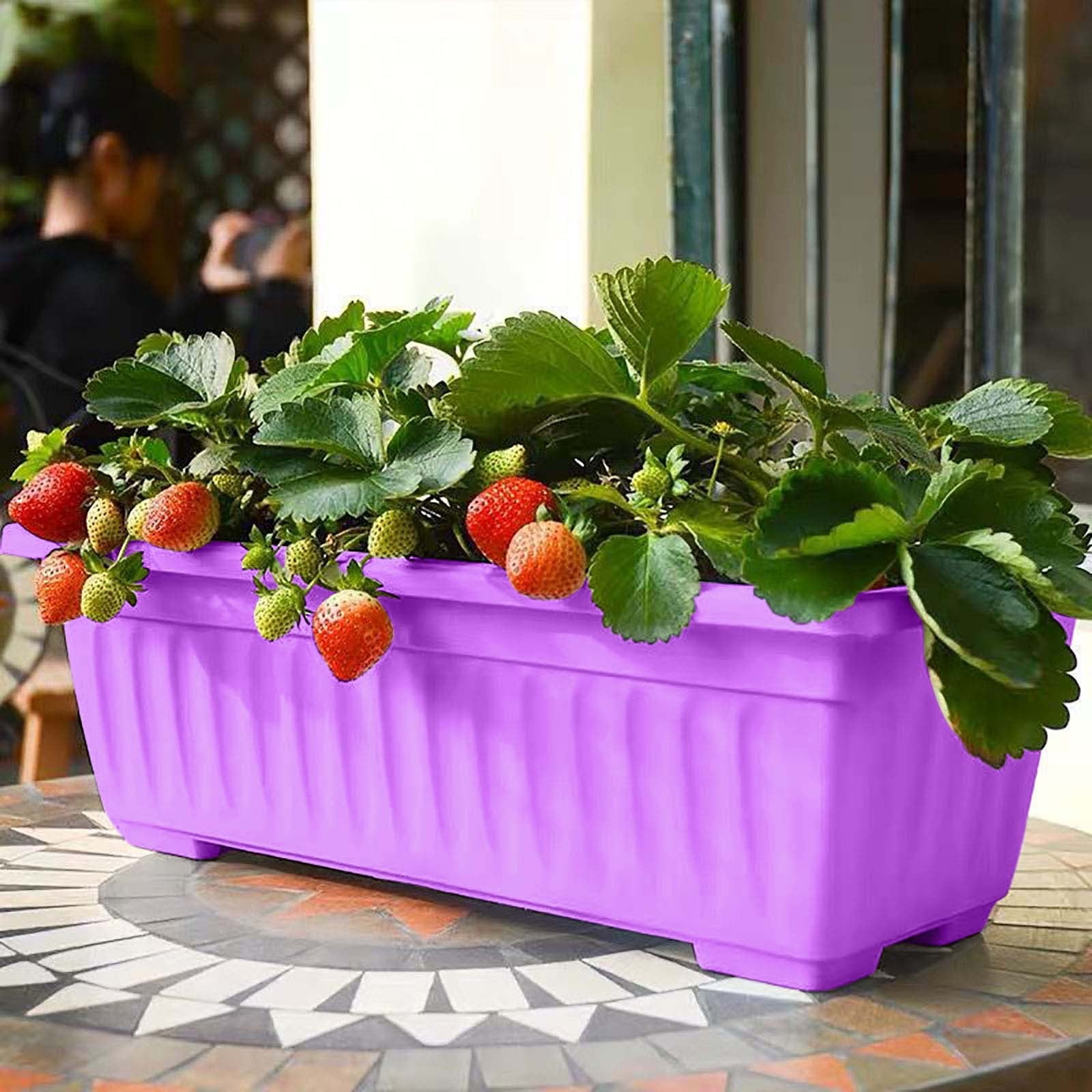 Chenjiaaa Window Sill Flower Flower Pot Outdoor Indoor Stand With Holes And Tray Vegetable Suitable For Garden Small Glass Vase Shelving Hooks Modern