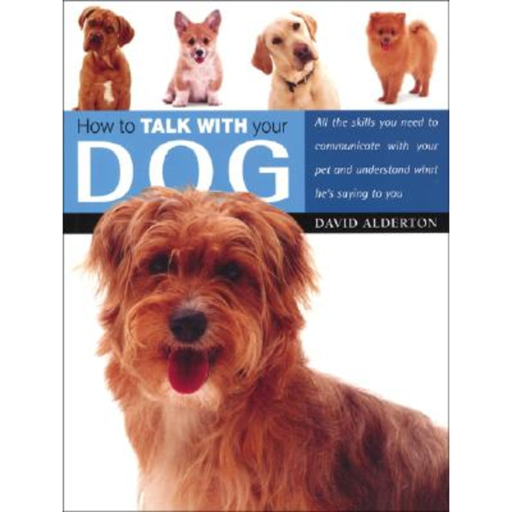 Is It Good To Talk To Your Dog