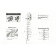 Dinosaur Skeleton Costume – 3D Spinosaurus Skull Mask & Plush Spine for ...
