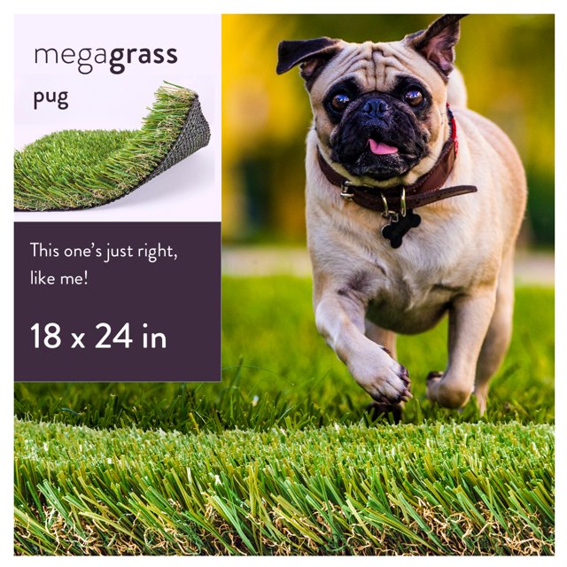 MegaGrass Pug 18 x 24 in Artificial Grass for Medium Pet Dog Potty ...