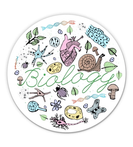 Biology - 12" Vinyl Sticker Waterproof Decal - Walmart.com
