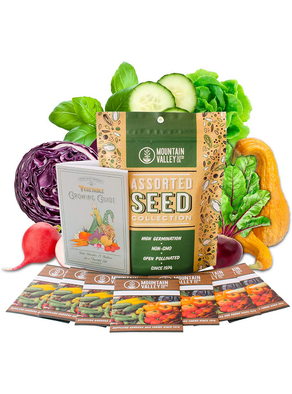 Radish Seeds in Seed Gardening - Walmart.com