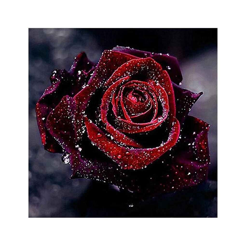 Click here for Fastboy 5d Diamond Painting Kit Red Rose Full Dril... prices