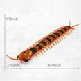 Simulation RC Centipede Scolopendra Realistic Remote Control Vehicle ...