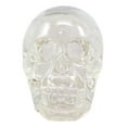 Ebros Clear Translucent Witching Hour Gazing Skull Statue 5.5" Long ...
