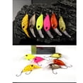 Youthyao Multicolor Small Lures Compacts Realistic Action for Basses ...