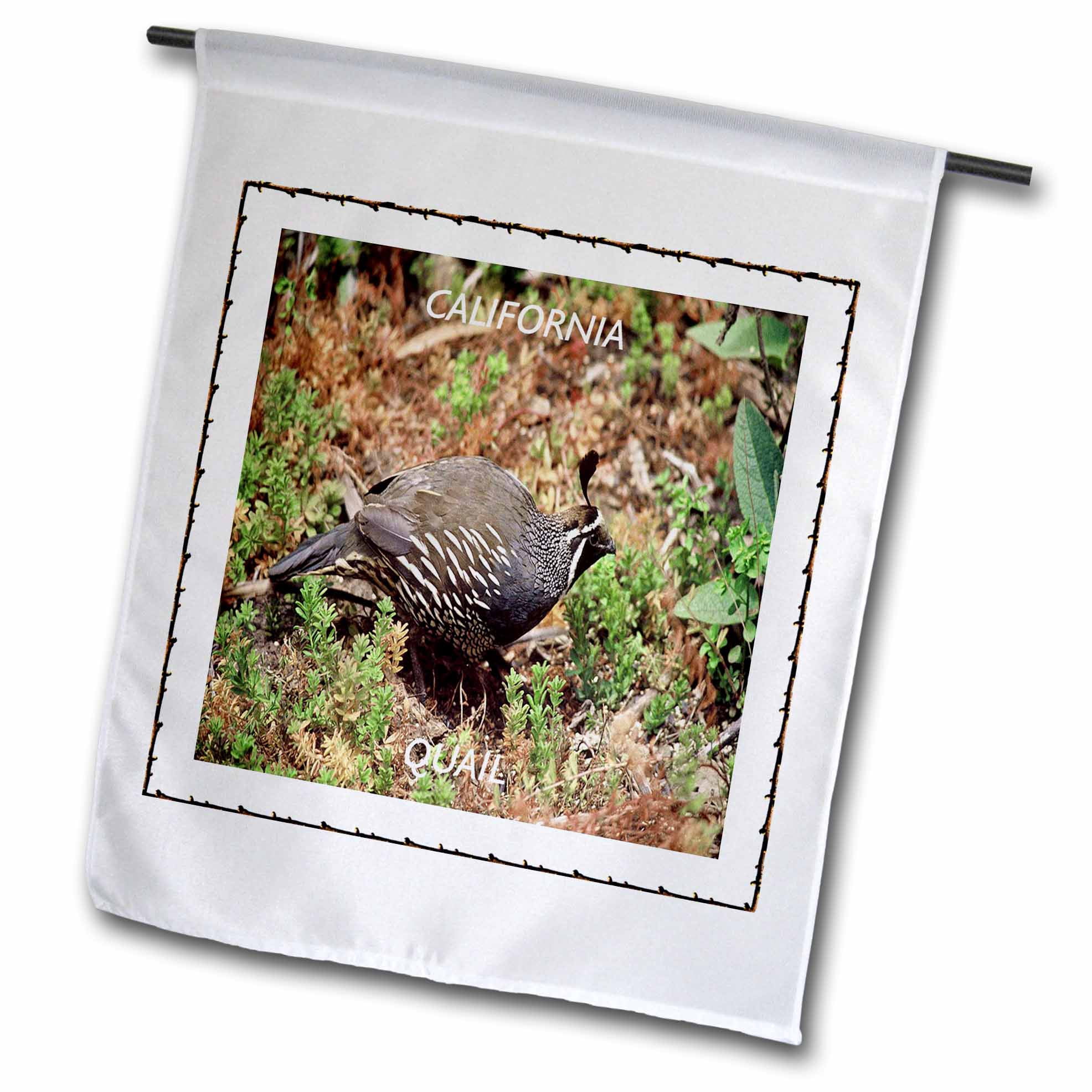 3dRose California State Bird Quail - Garden Flag, 12 by 18-inch ...